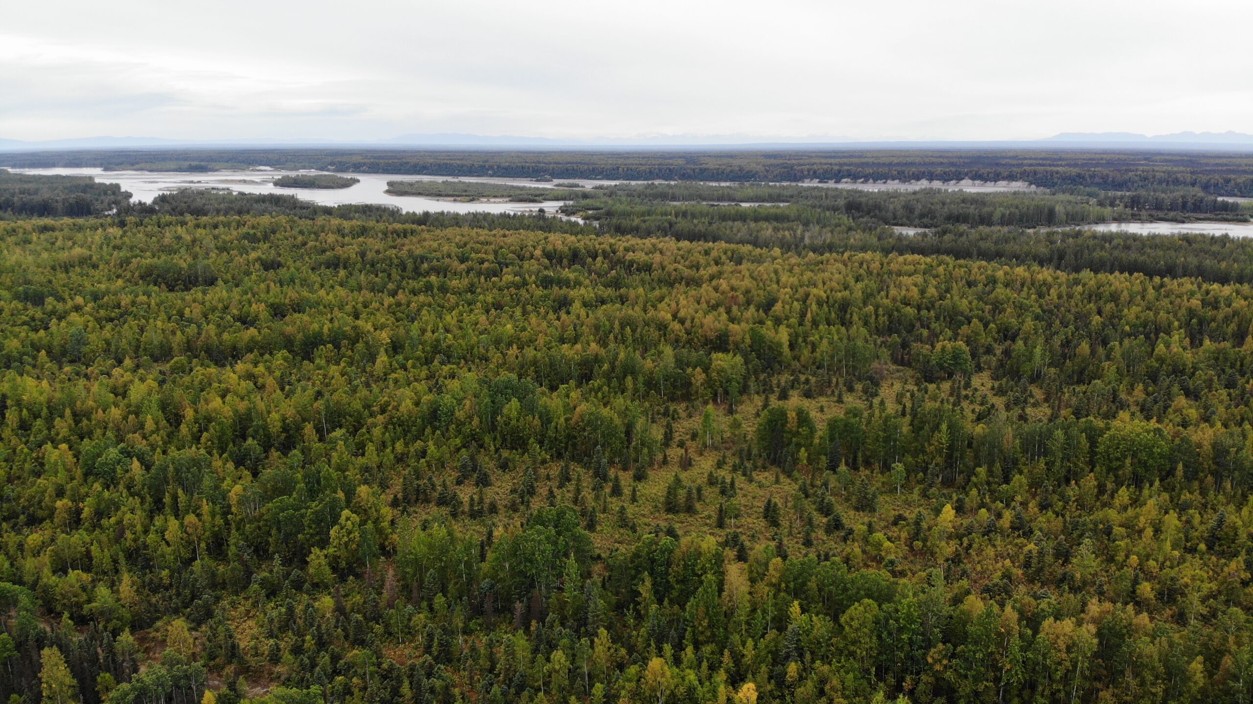 Remote Land Talkeetna Alaska 15 Acres, Close to the Su River