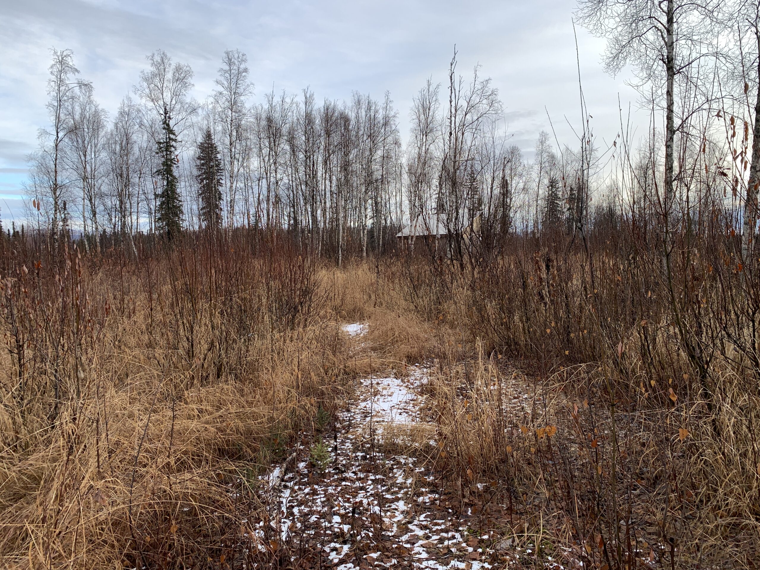 Remote 10 Acres Talkeetna Alaska With Road and Trail Access