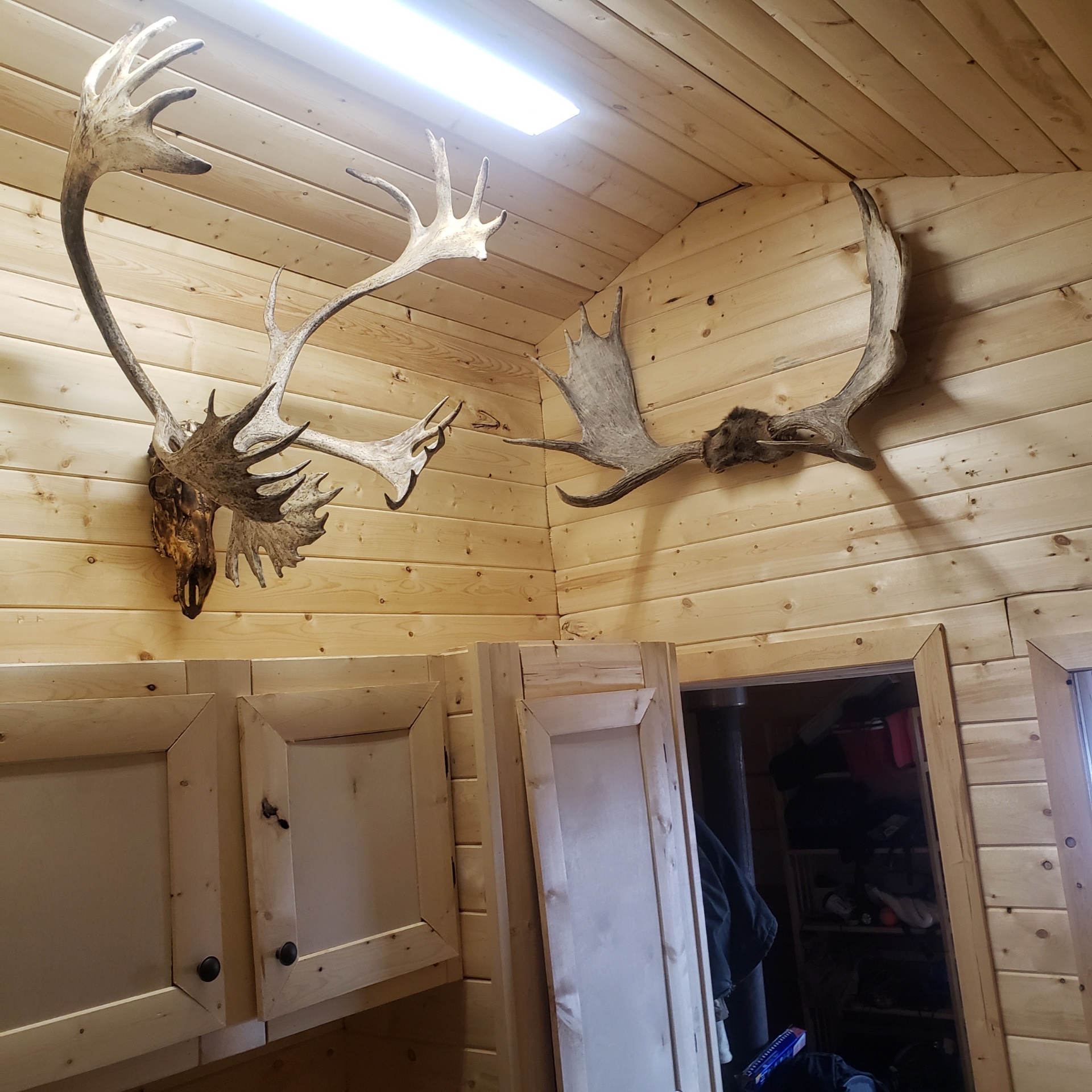 Remote Cabin Alaska, Off Grid Living, Near Fairbanks Alaska