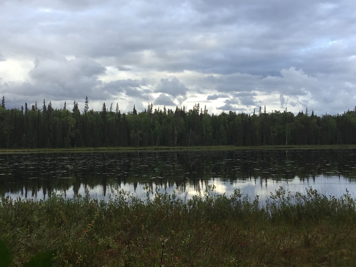 Sawmill Lake Trapper Creek Alaska at Elizabeth Ashworth blog