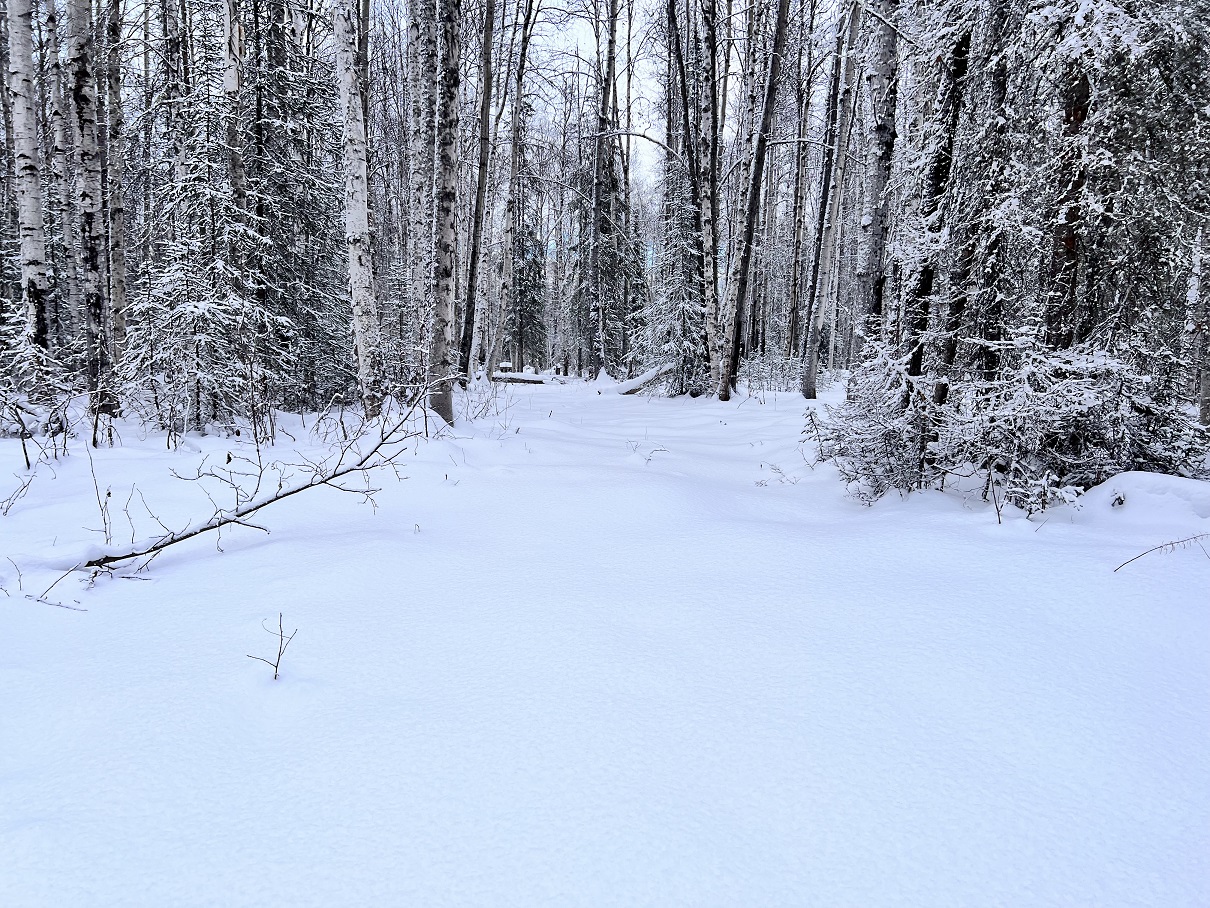 Blog - Remote Properties Alaska