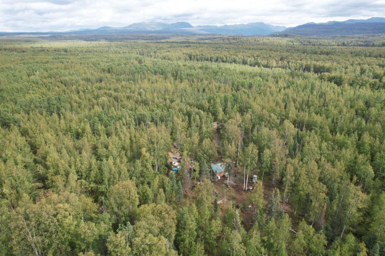 Remote 40 Acres, Cabin With Well in Willow Alaska Wilderness