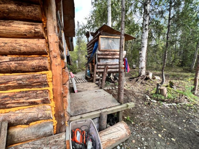 Remote 40 Acres, Cabin With Well in Willow Alaska Wilderness SOLD!