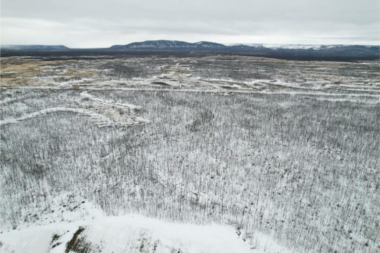 Over 38 Acres Off Grid Remote Property in Clear Alaska