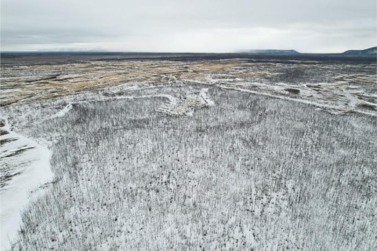 Over 38 Acres Off Grid Remote Property in Clear Alaska